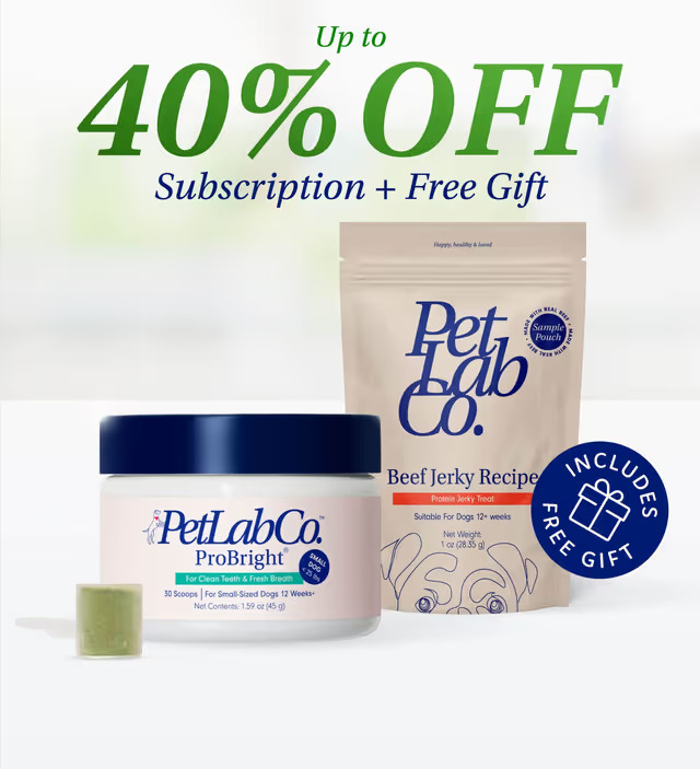 Why PetLab Co. Supplements Are Essential for Your Dog’s Health – MALIMORA